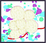 What is Lila - Mecca Spa NJ